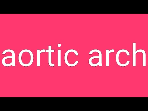 Aortic Arch Definition & Meaning