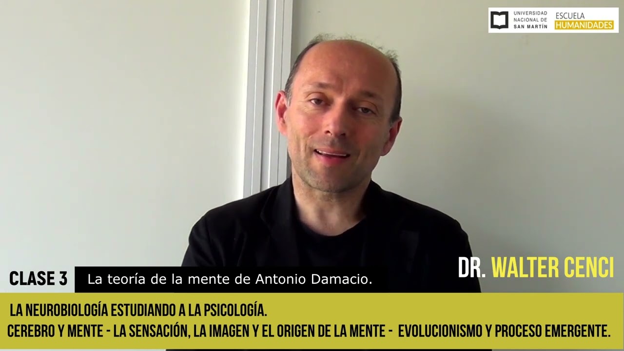 La teoria de la mente de Antonio Damasio