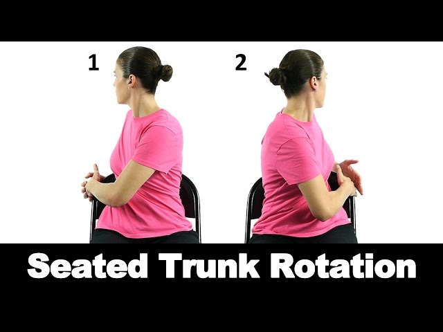 How to Perform Trunk Rotation: Correct Form, Tips, Technique ...