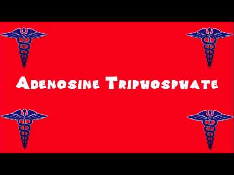 Pronounce Medical Words ― Adenosine Triphosphate