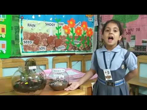 Amity International School (AIS), Saket, New Delhi: Admission, Fee ...