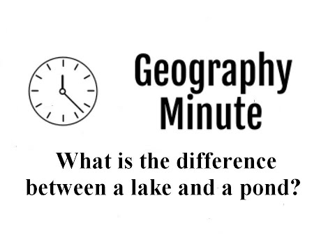 What is the difference between a lake and a pond?