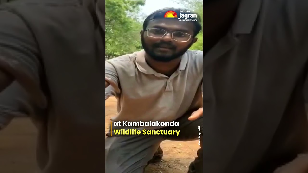 Barkudia Limbless Skink Sighted At Kambalakonda Wildlife Sanctuary