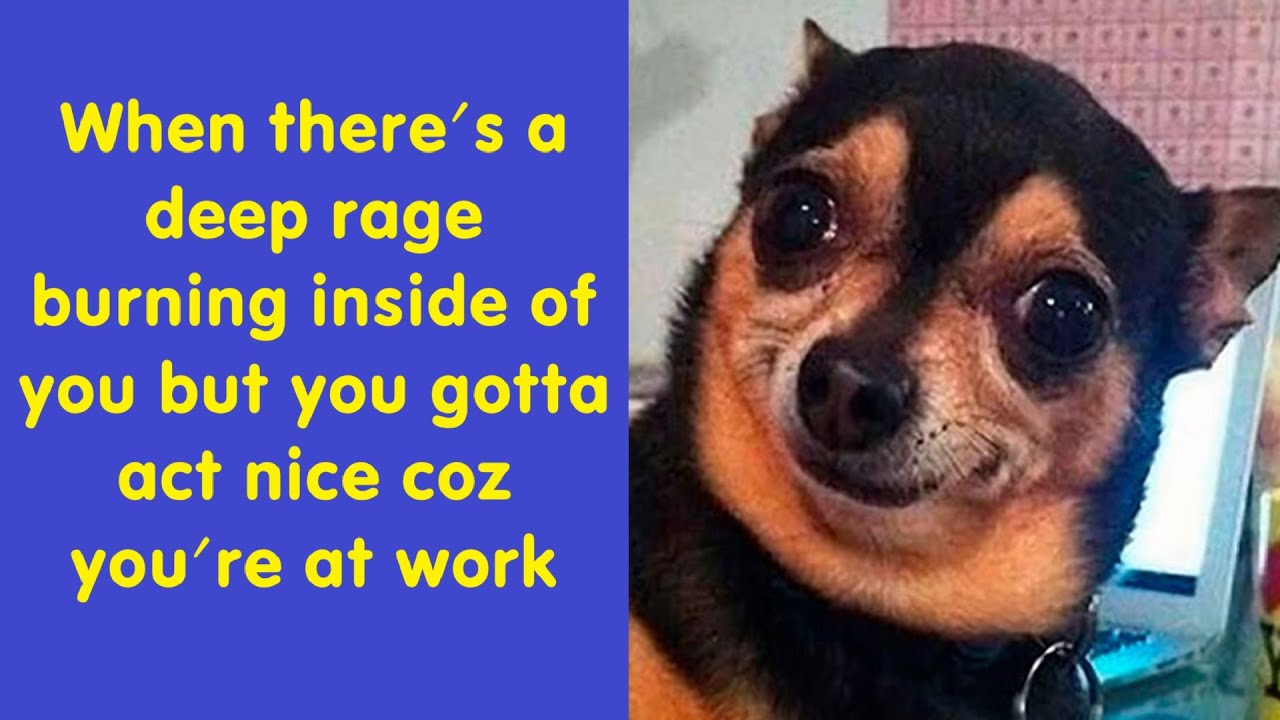 Hilariously Accurate Work Memes For Everyone Ready To Retire | Happy And Fun