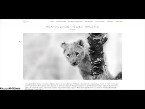 6 Divi Category Layouts Available in Divi Blog Extras Plugin