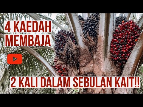 4 KAEDAH MEMBAJA/PUPUK DENGAN BETUL
