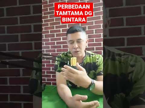 PERBEDAAN BINTARA DAN TAMTAMA TNI #rekrutmentni #tniad