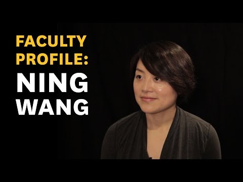Profil Fakultas: Ning Wang