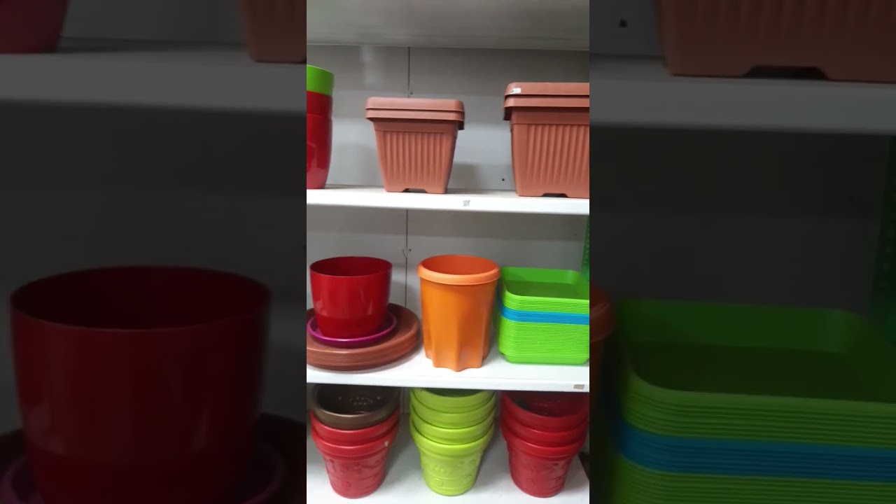 Colorful pots for Plants| ceramic planters | #shorts