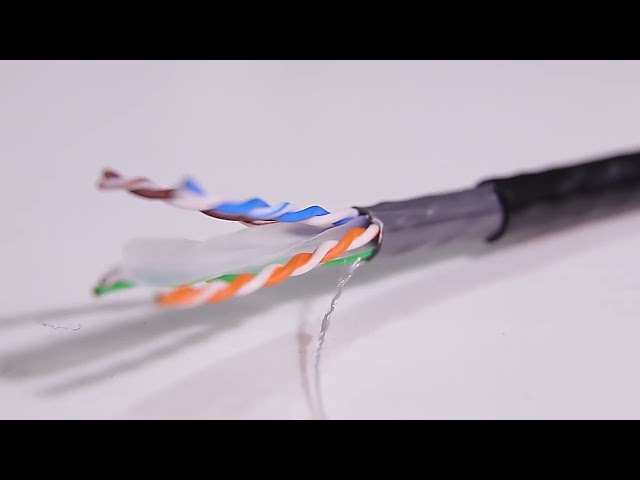 Cat 6 Cable - Cat 6 Patch Cords Manufacturer from New Delhi