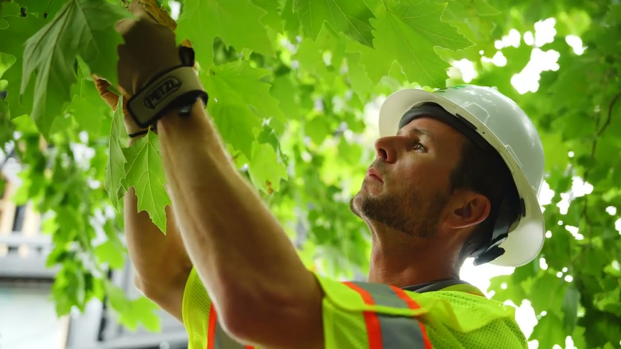 Davey Resource Group: The Muny