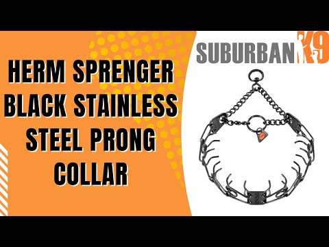 Herm Sprenger Black Stainless Steel Prong Collar