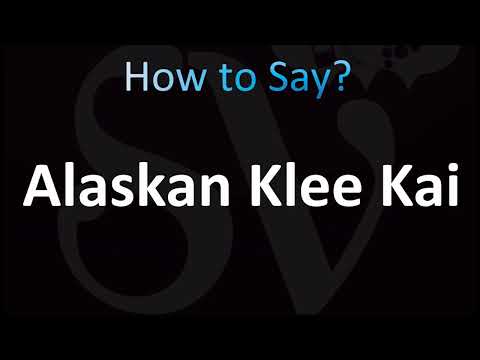 How to Pronounce ''Alaskan Klee Kai'' Correctly! (Dog)
