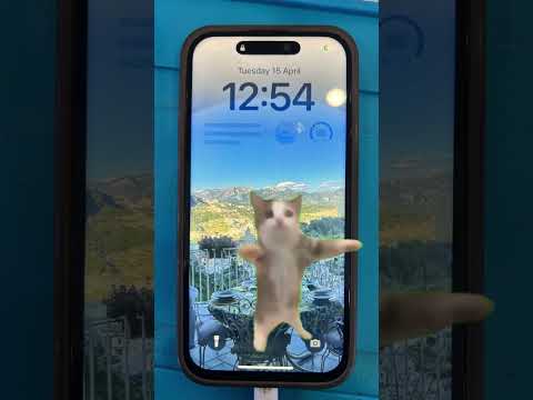 MOBITOUCH TARNEIT PHONE REPAIR | 0426 616 777 #phonerepair #screenrepair #repairs #mobilerepair