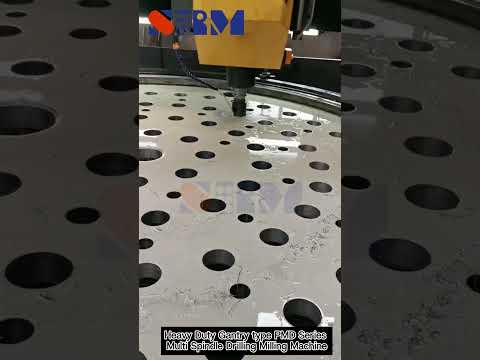 Heavy Duty Gantry type PMD Series Multi Spindle Drilling Milling Machine