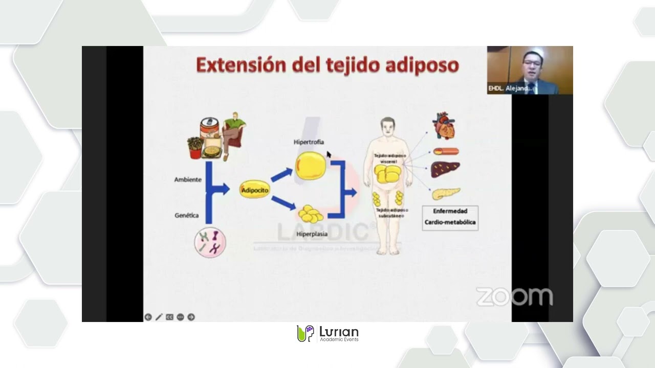 Relación Anemia - Obesidad: Extensión del tejido adiposo.