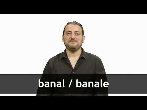 English Translation of “BANAL” | Collins French-English Dictionary