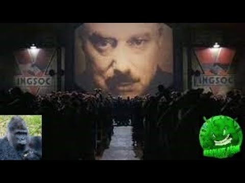 Sunday Cinema Presents 1984 (1984)