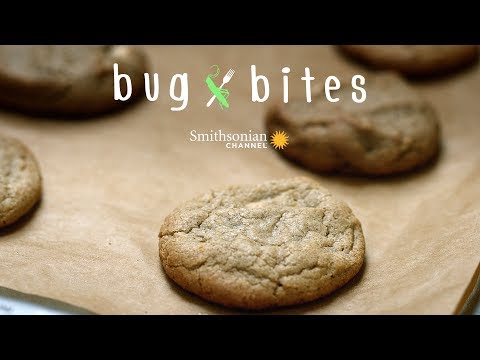 Bug Bites: Cricket Cookies