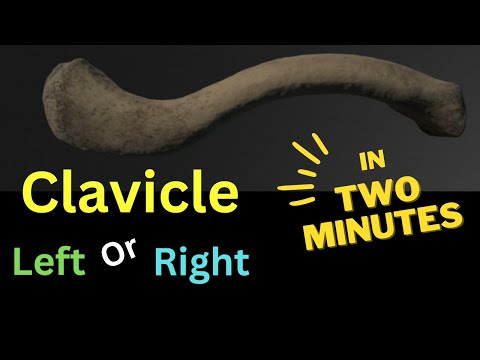 Clavicle - Side (Left👈OR Right👉) | IN 2 MINUTES!