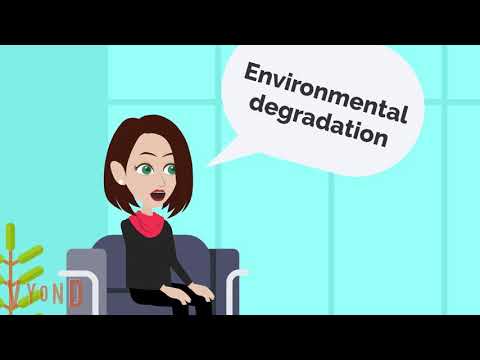 Environmental Degradation