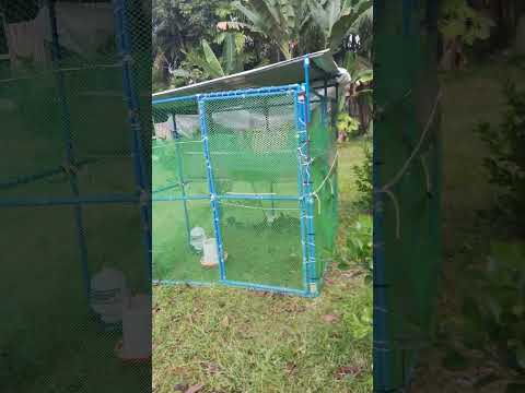 backyard integrated farming philippines
