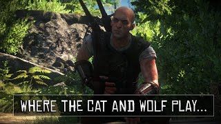 Where the Cat and Wolf Play at The Witcher 3 Nexus - Mods and community
