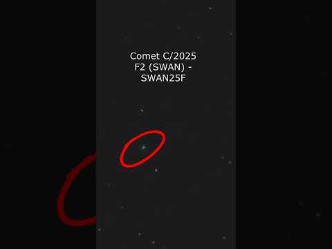 Comet C/2025 F2 (SWAN) - SWAN25F #shorts