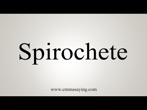 How To Say Spirochete