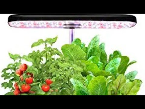 Hydroponics Growing System ! 12 Pods Indoor Herb Garden with 36W ! top sale
