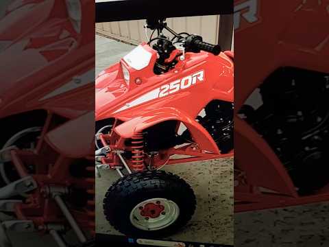 π₯β¨ππ 250R ππ«π₯π₯π #Honda #trx250r #racing #fourtrax #atv #4wheeler