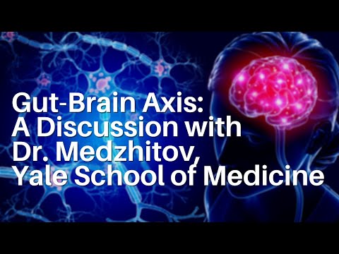 Gut-Brain Axis: A Discussion with Dr. Medzhitov, Yale School of Medicine