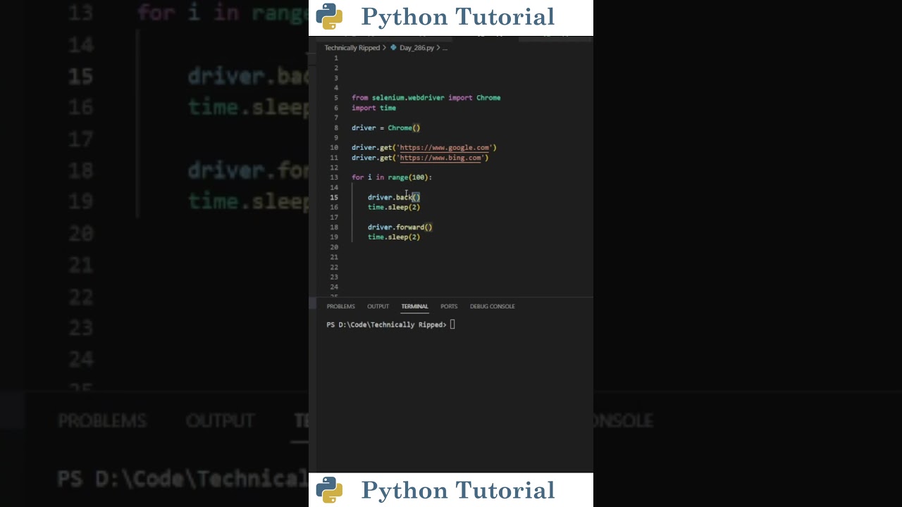 Navigating Websites With Selenium | Python Tutorial