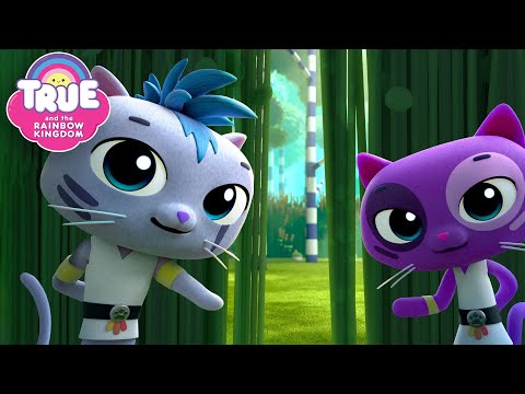 Secret Ninja Cat Dojo! πΌπ₯ 6 FULL EPISODES π True and the Rainbow Kingdom π