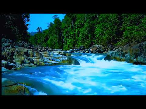 River Stream Sounds for a Calm and Restful Night