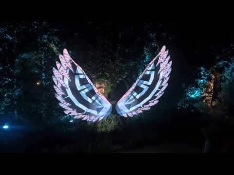 GLEAM: “Wings of Light” at Olbrich Gardens in Madison WI