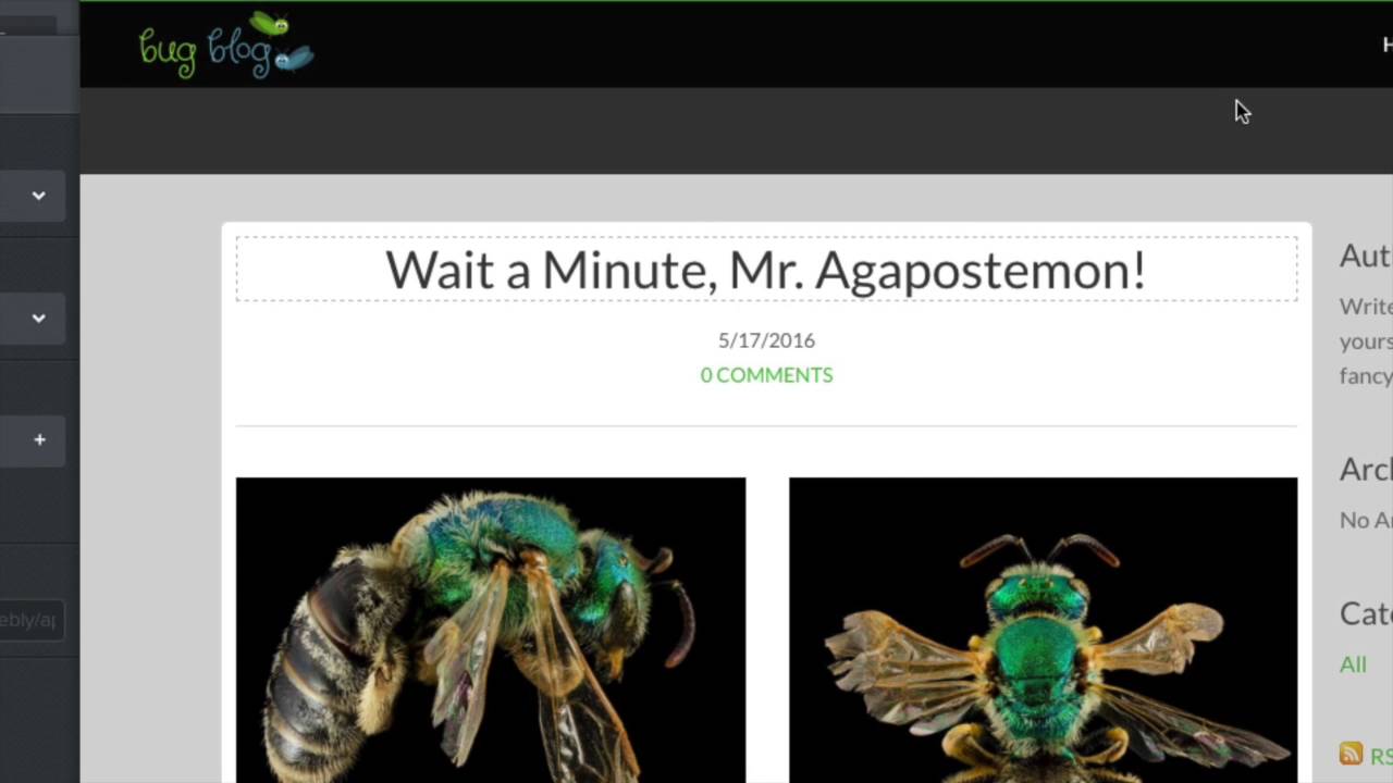 How'd They Do That? Create a Blog Post