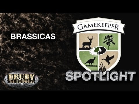 GK Spotlight - Brassicas