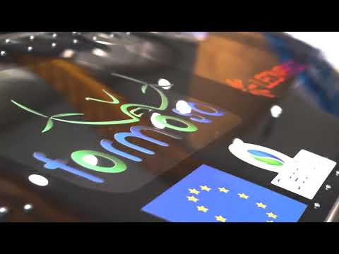 FORMOSA Project: An Innovative Control Surface Developed for the Next Generation Civil Tiltrotor