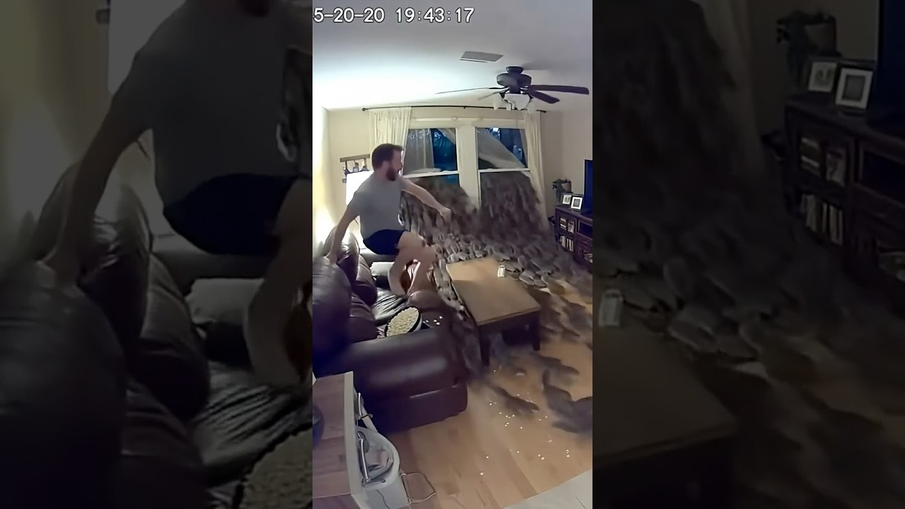 Absolutely DISGUSTING… Livingroom invaded by squirrels! #viral #shorts