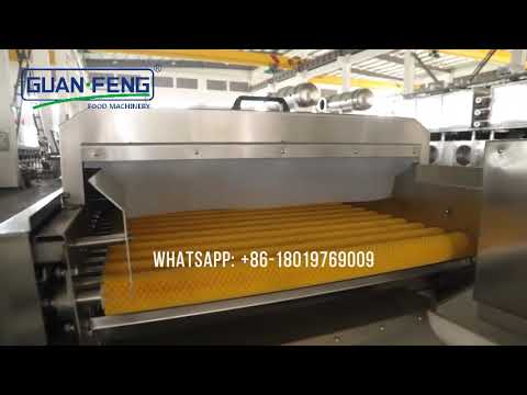Fruit & Vegetable Pre-Processing Line | Washing, Blanching, Cutting