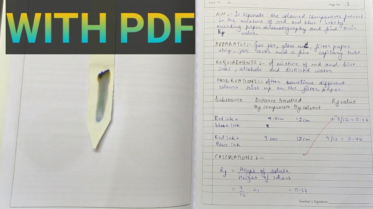 Chemistry Practical File with pdf with complete observations and equations(2020-21)