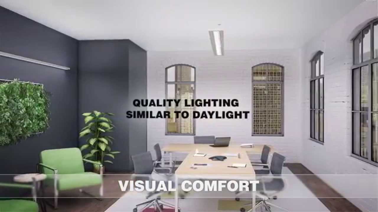 Axis SurroundLite Video