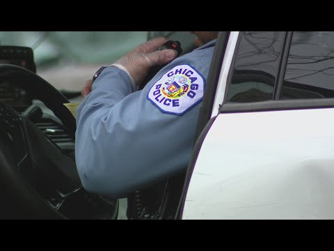 Should police officers in Illinois be licensed?