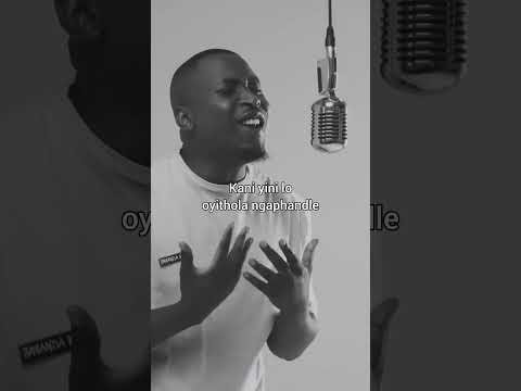 Brandon Dhludhlu - Thandolwethu Song Lyrics