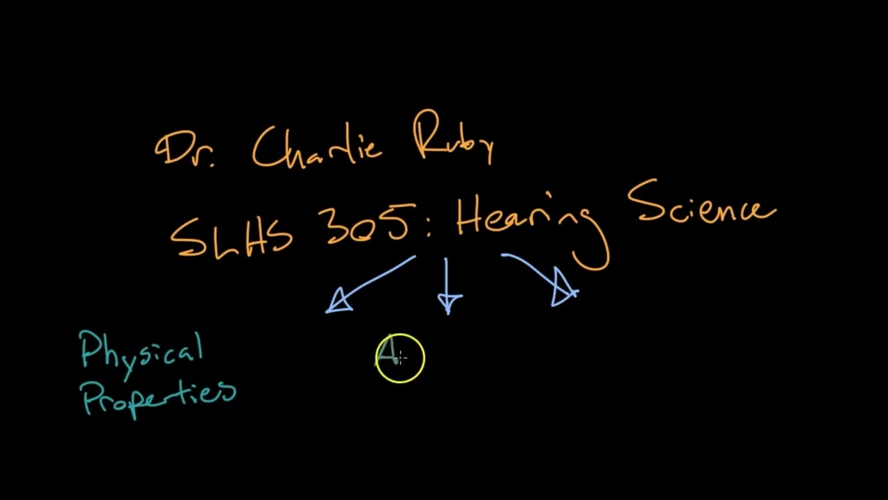 Speech Language Pathology Essentials Program Overview