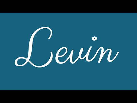 Learn how to Sign the Name Levin Stylishly in Cursive Writing