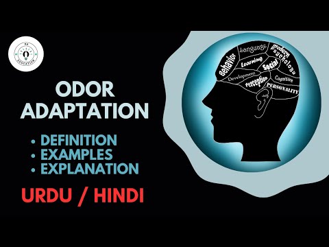 What is an Odor Adaptation? Explain in Hindi / Urdu