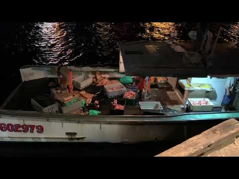 Crew Of The Pretty Girl Organize Their Bait For The Day Ahead ...