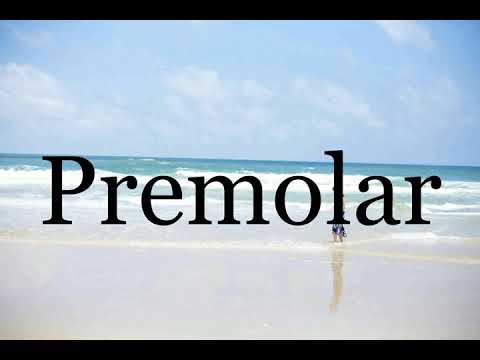 How To Pronounce Premolar🌈🌈🌈🌈🌈🌈Pronunciation Of Premolar